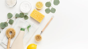 Best DIY Homemade Cleaning Products: Eco-Friendly Solutions
