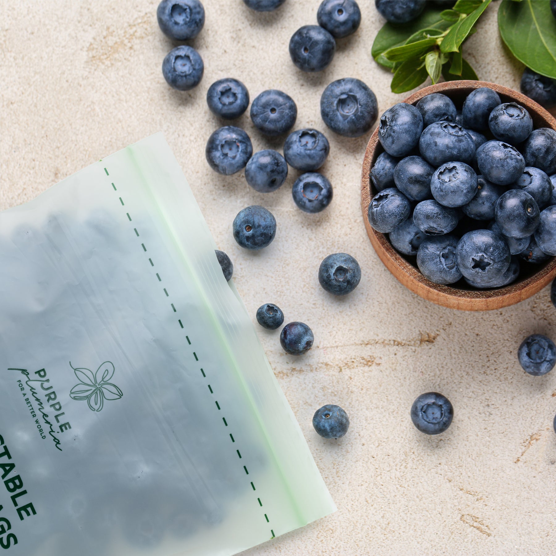 Eco-Friendly Compostable Ziplock Bags | PurplePlumeria